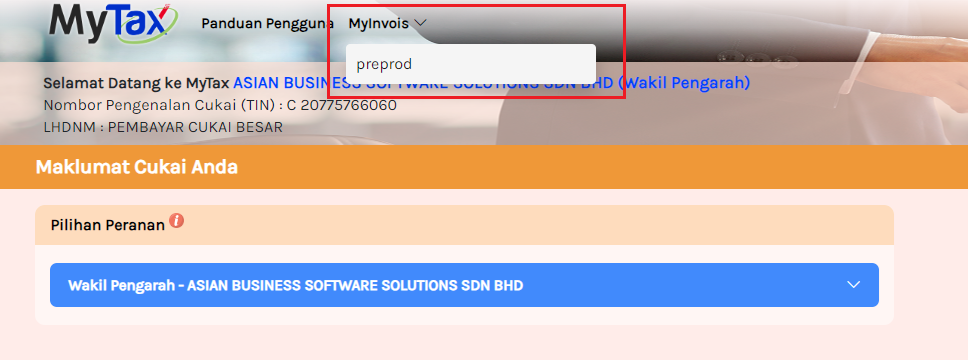One Time Setup at MyInvois Portal – Knowledge Base | Financio
